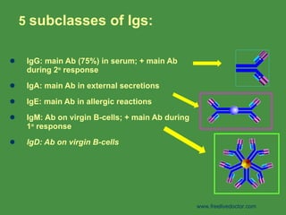 Lymphaticsystem 100311040135-phpapp01 | PPT | Biological Sciences | Science