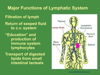 Lymphaticsystem 100311040135-phpapp01 | PPT | Biological Sciences | Science