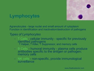 L Nervous System | PPT