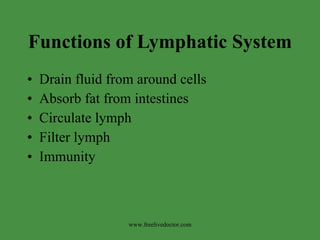 Lymphatic System | PPT | Blood Disorders | Diseases and Conditions