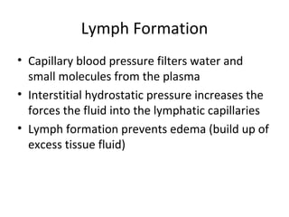 Lymphatic system | PPT