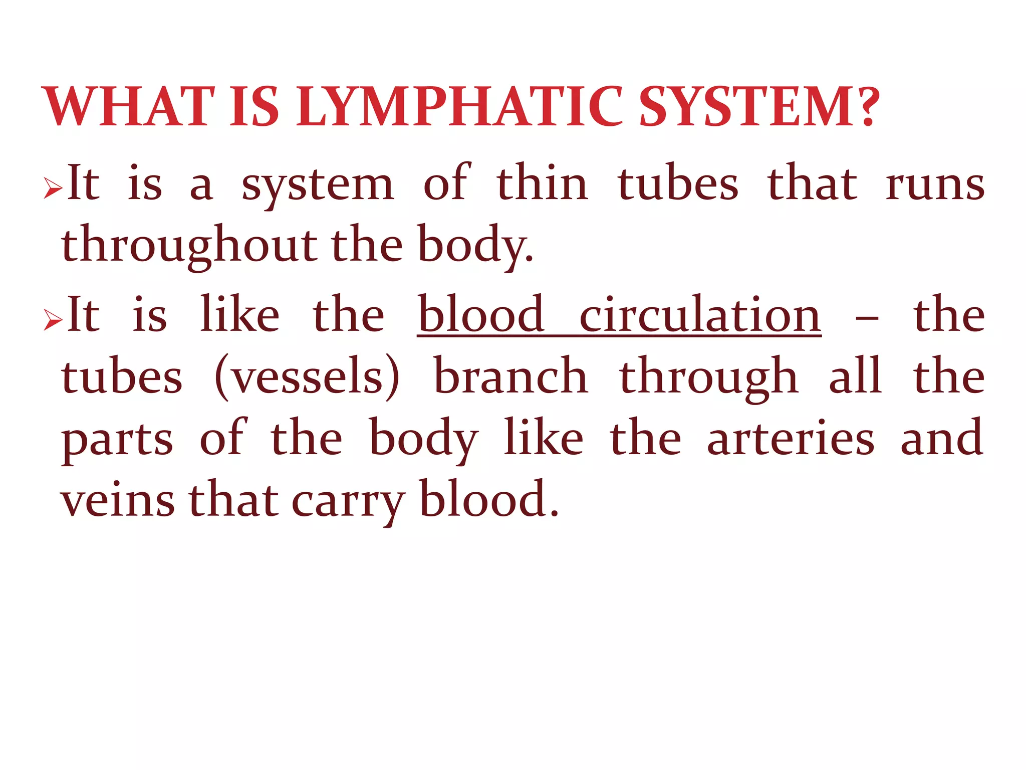 Lymphatic System | PPT