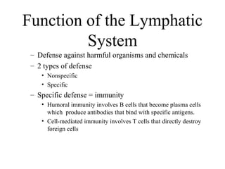 Lymphatic system | PPT