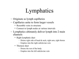 Lymphatic system | PPT