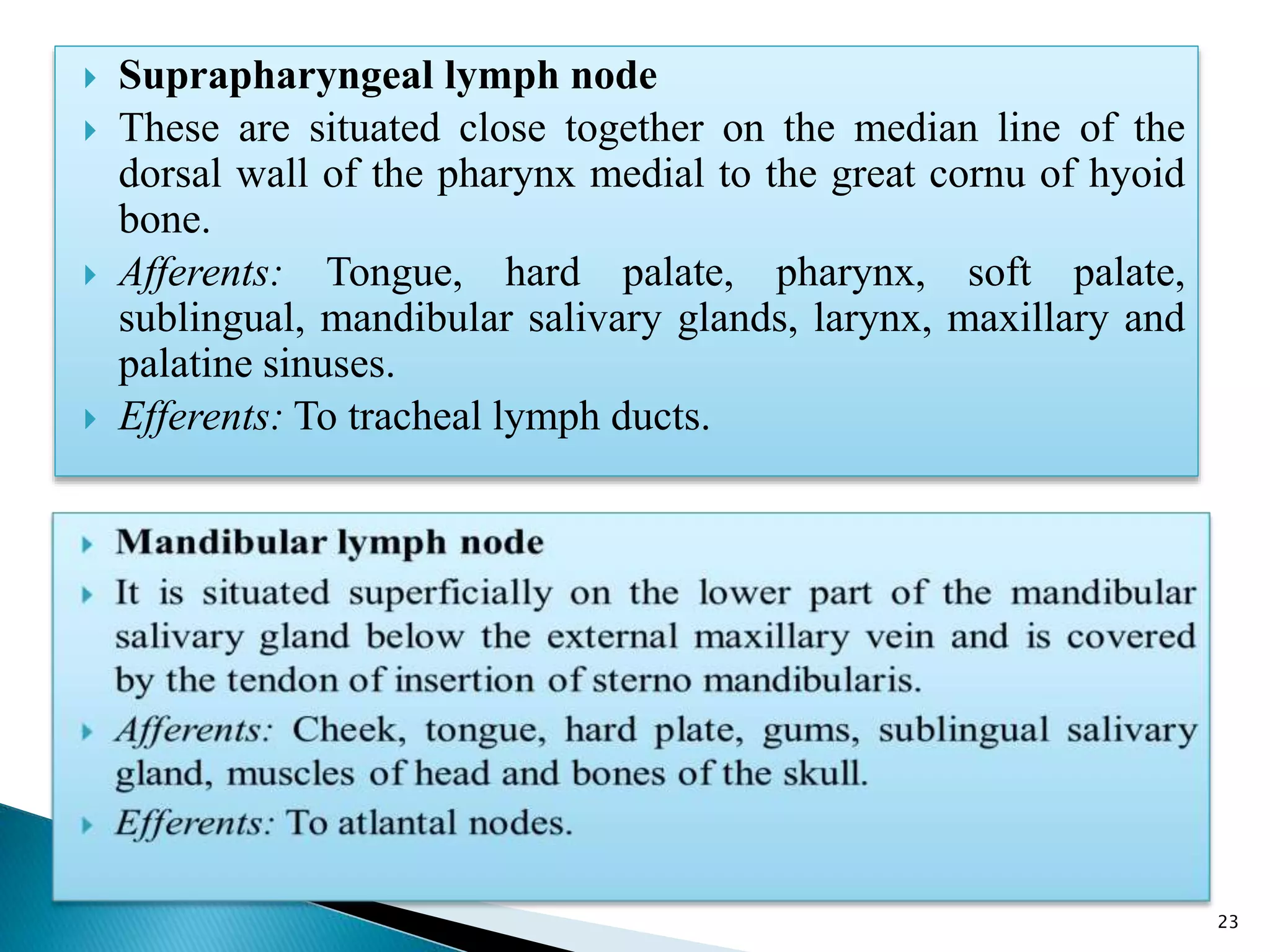 Lymphatic system | PPTX