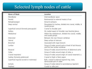 Lymphatic system | PPTX
