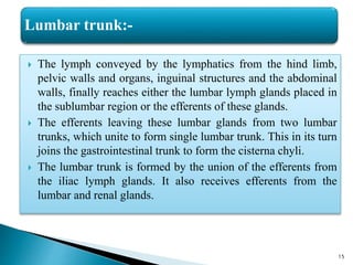 Lymphatic system | PPTX