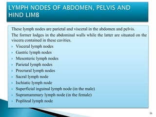 Lymphatic system | PPTX