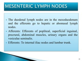 Lymphatic system | PPTX