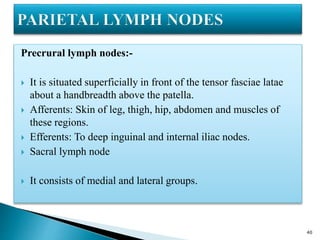 Lymphatic system | PPTX