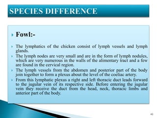 Lymphatic system | PPTX