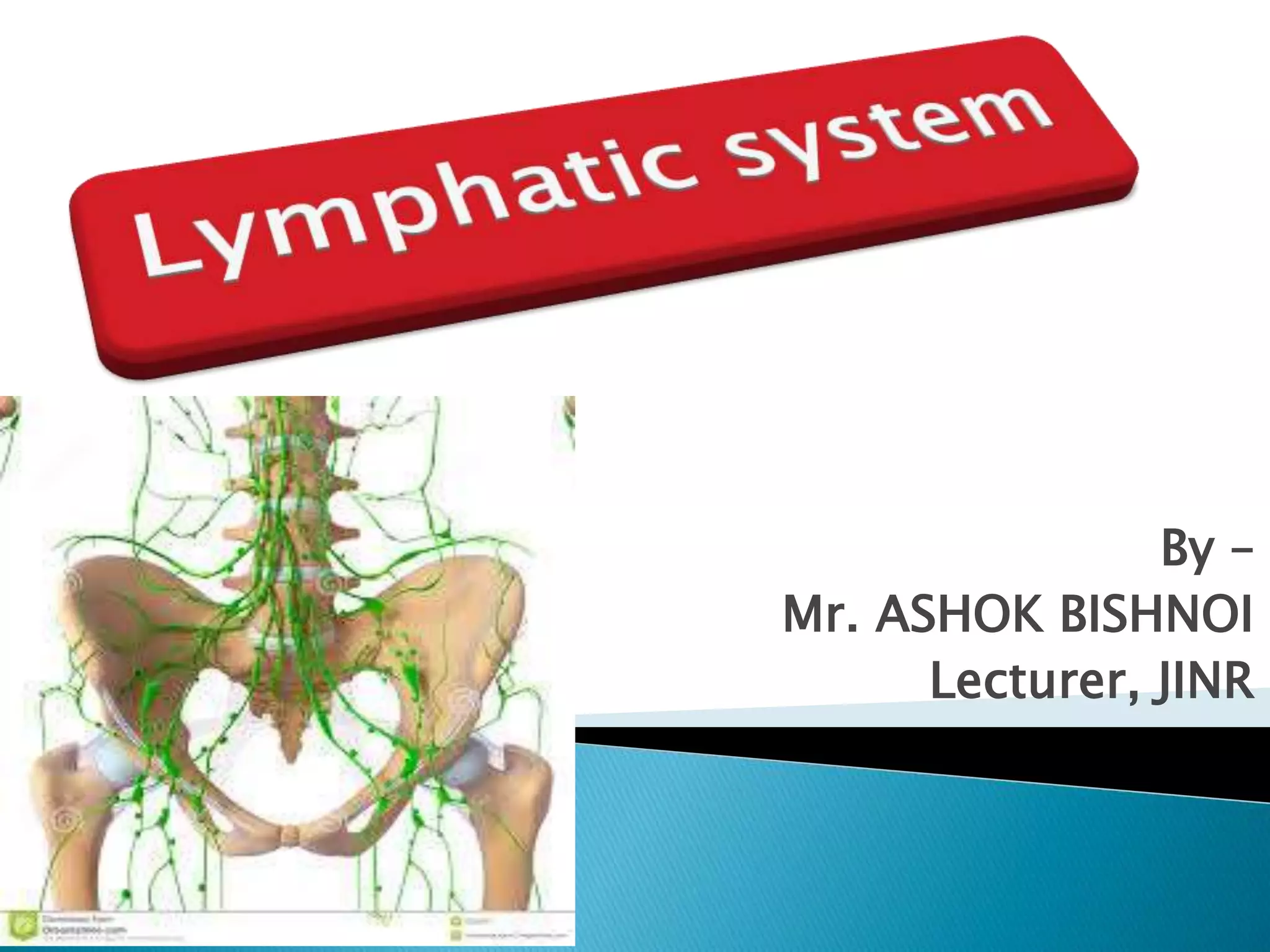 PPT on Lymphatic system | PPTX