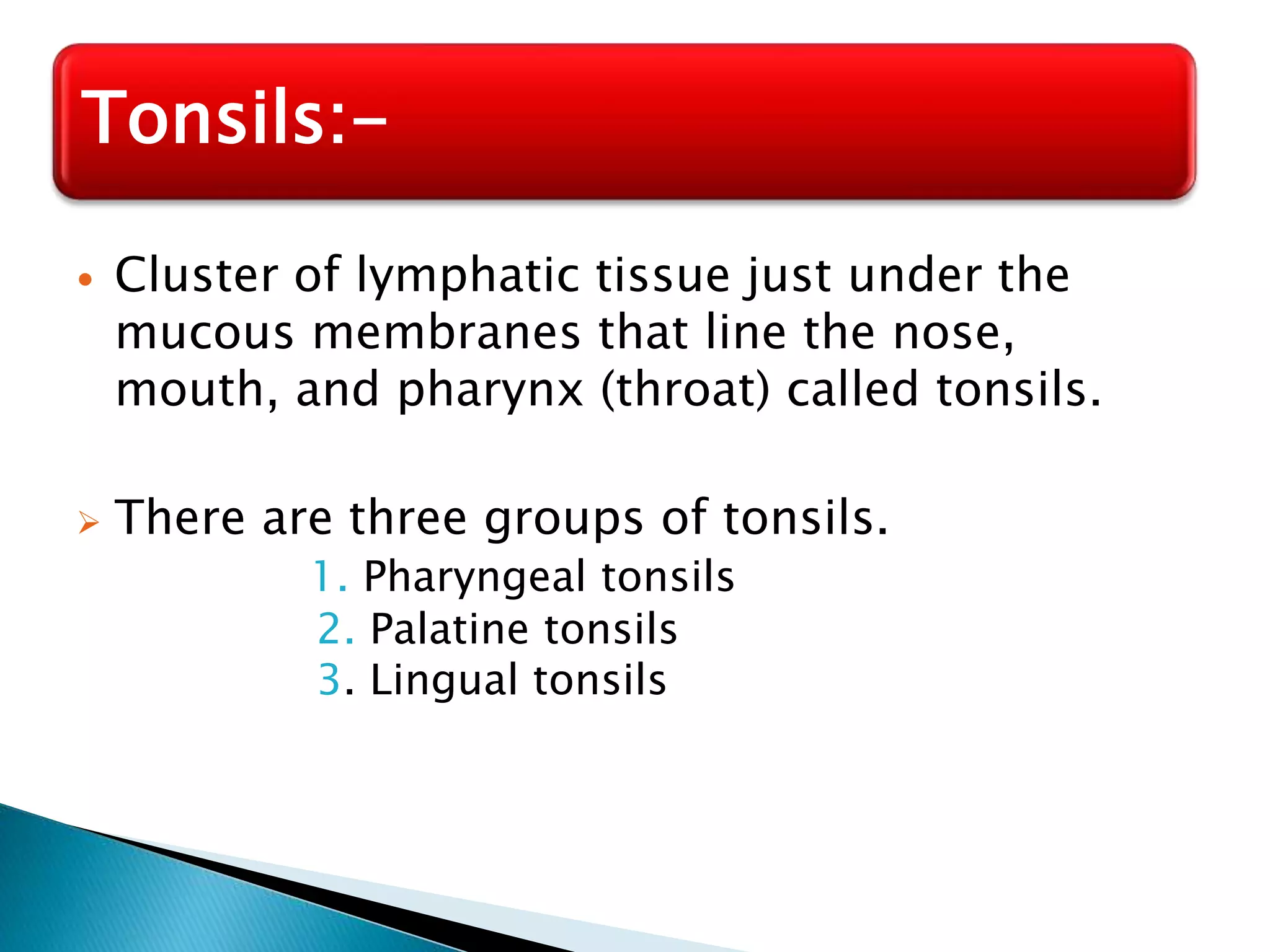 PPT on Lymphatic system | PPTX