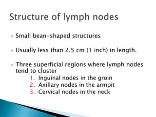 PPT on Lymphatic system | PPTX