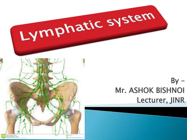 Ppt The Lymphatic System Powerpoint Presentation Free