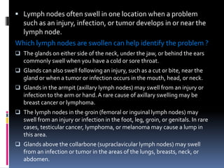 Lymphatic system | PPTX