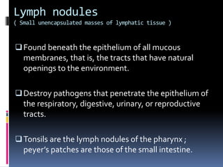 Lymphatic system | PPTX