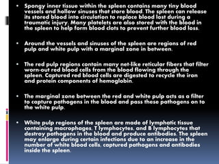 Lymphatic system | PPTX