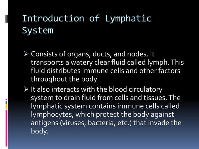 Lymphatic system | PPT