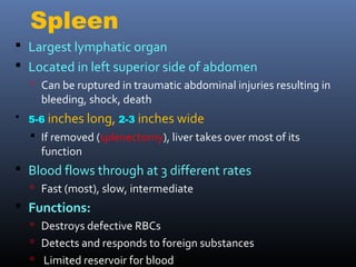 Lymphatic system | PPT