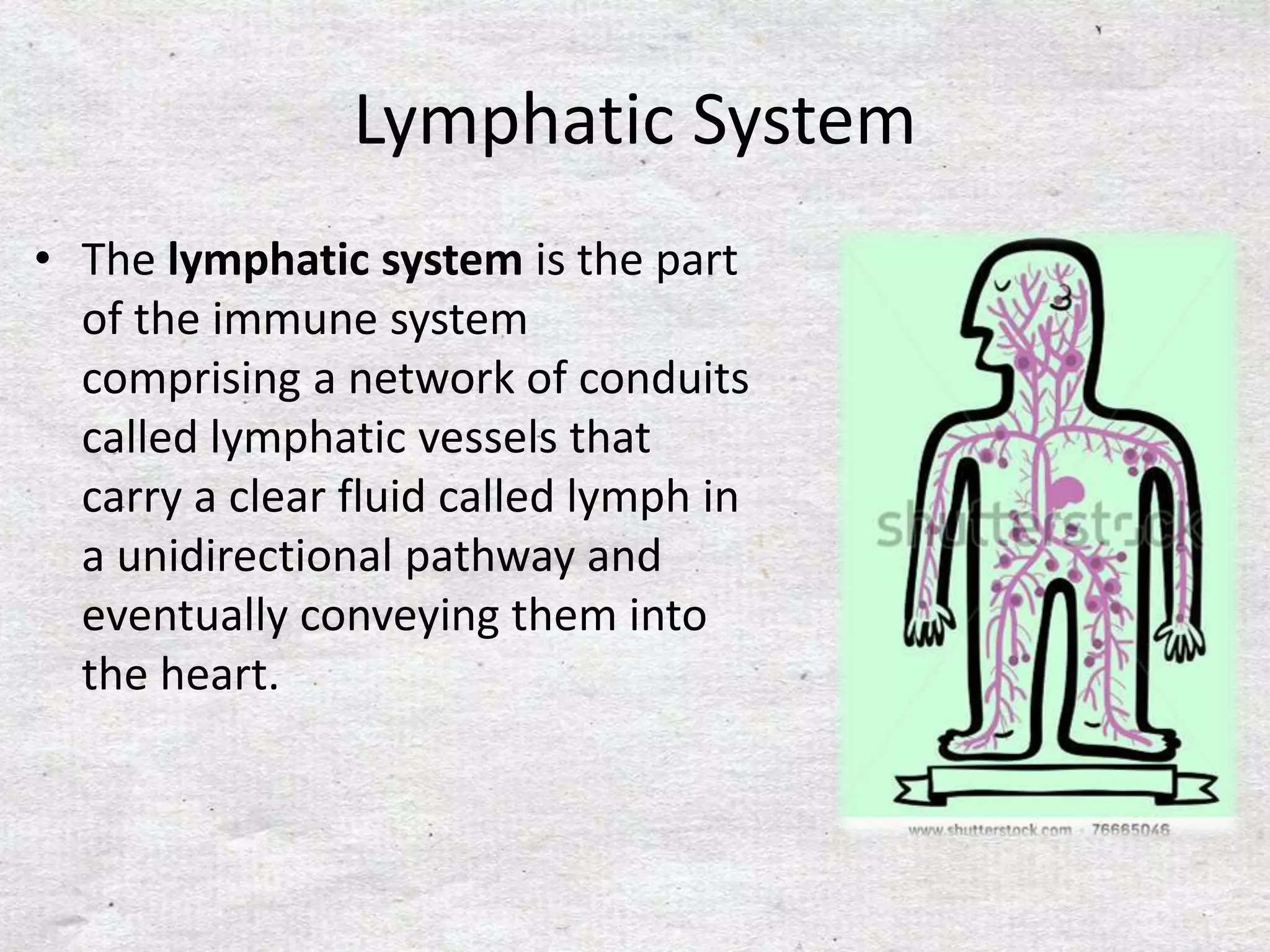 Lymphatic of head and neck | PPTX