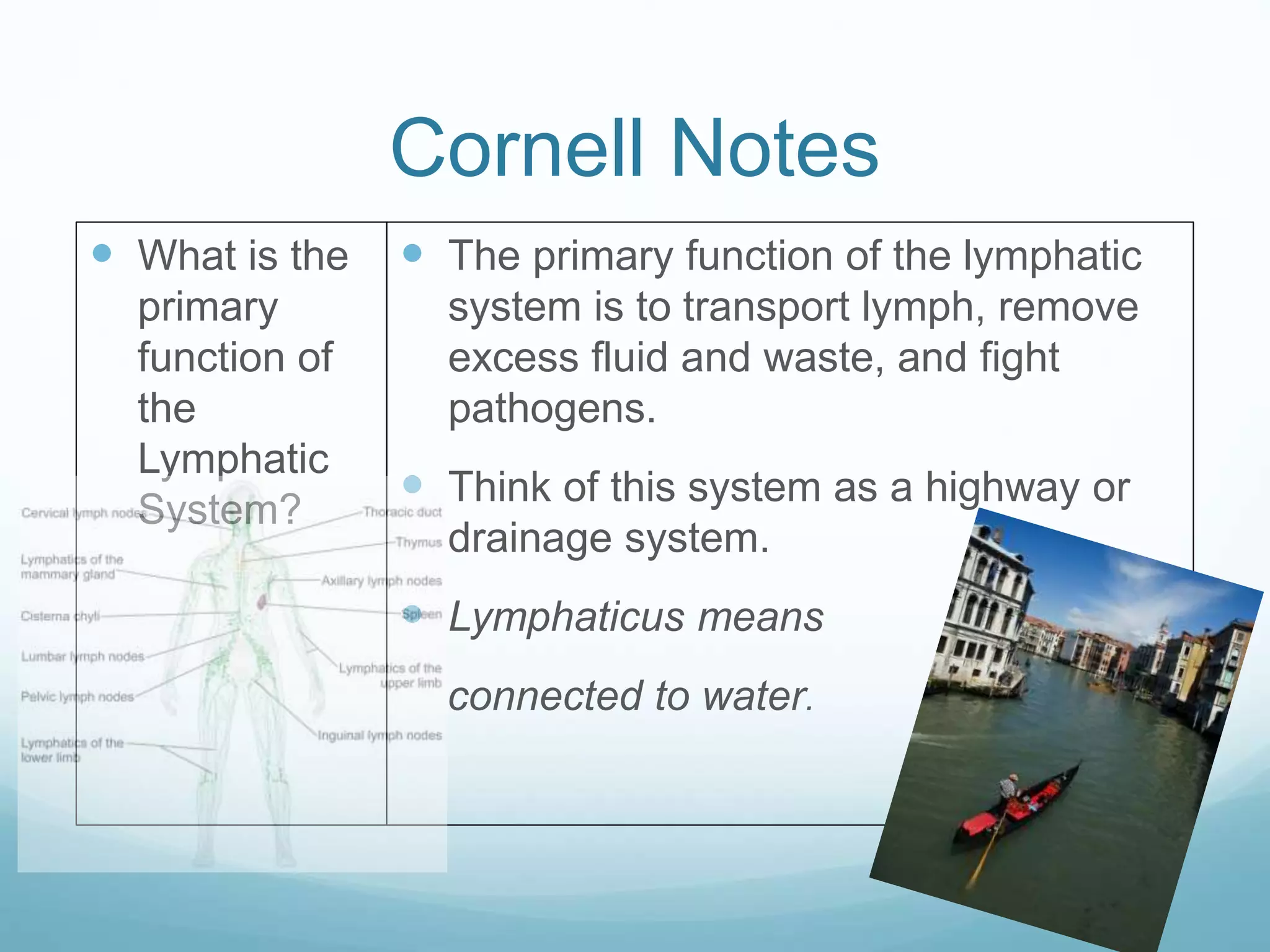 Lymphatic system | PPTX | Biological Sciences | Science