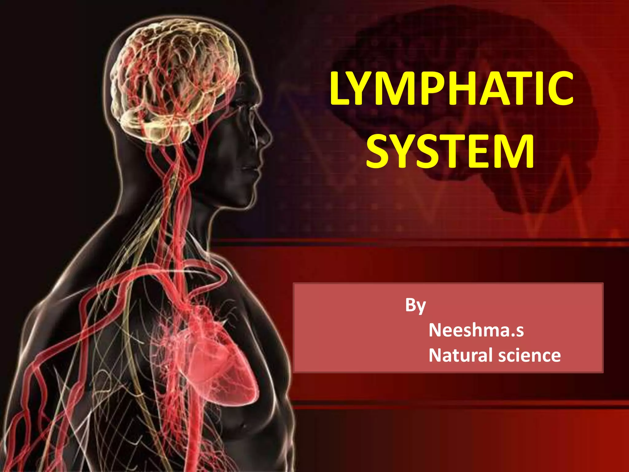 Lymphatic system-ppt | PPTX | Ear, Nose and Throat Conditions ...