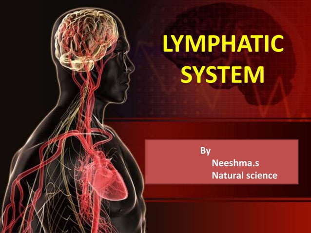 Lymphatic system-ppt | PPT