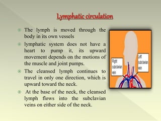 Lymphatic system | PPTX