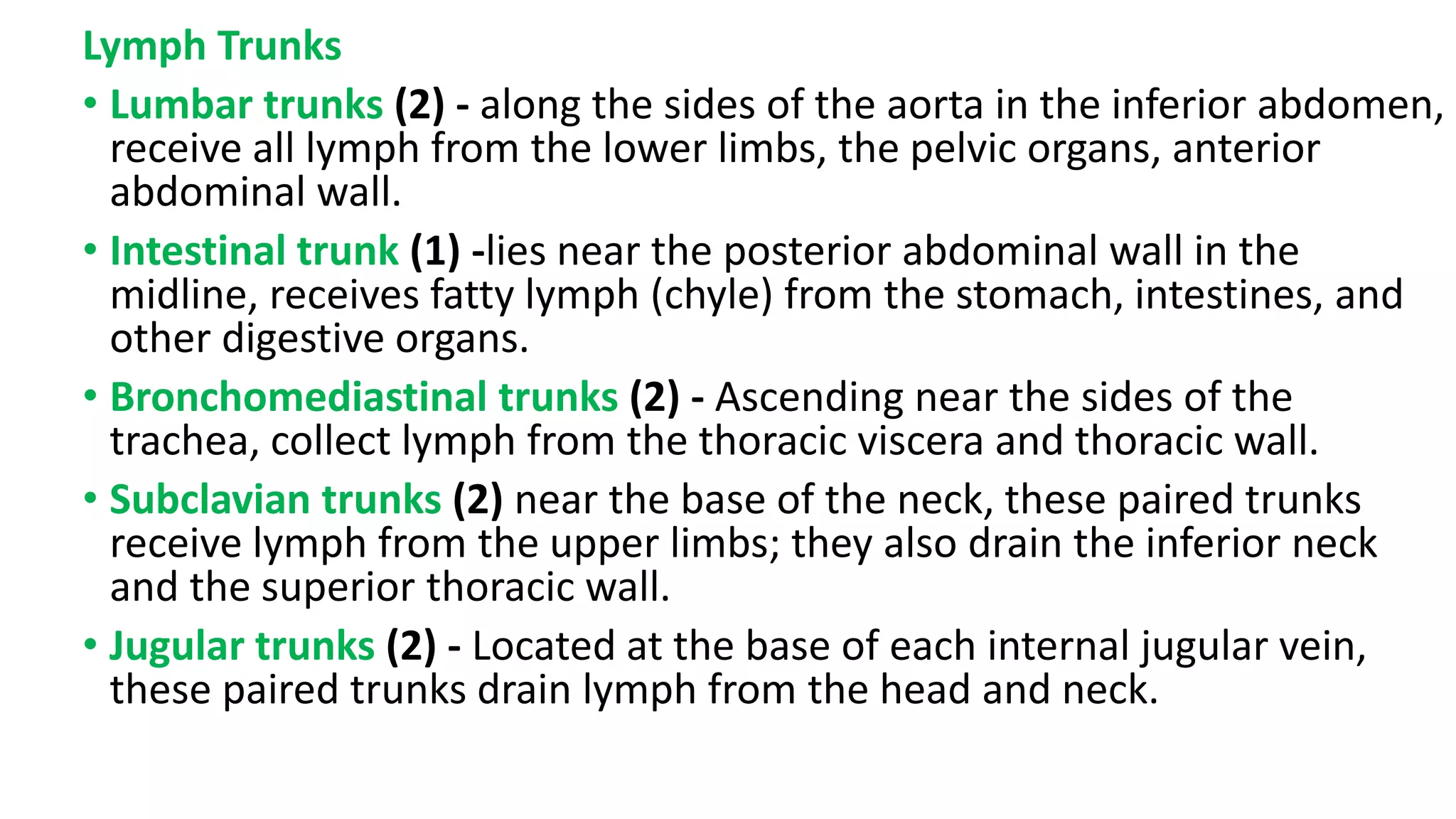 Lymphatic system anatomy | PPTX