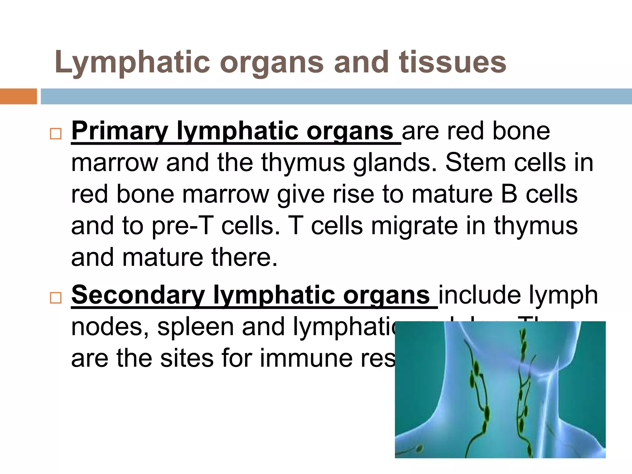 Lymphatic system-----(Physiology) | PPTX