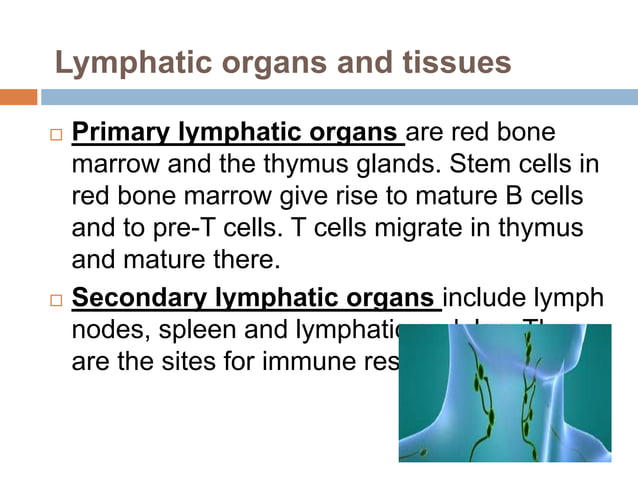 Lymphatic system-----(Physiology) | PPTX