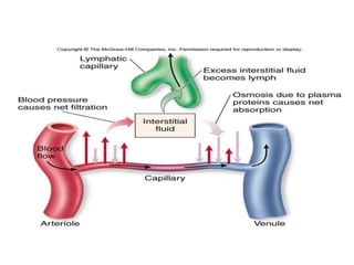 Lymphatic system-----(Physiology) | PPTX