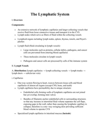 Lymphatic system | DOC