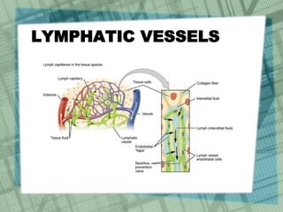 Lymphatic system | PPTX