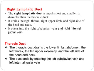 Lymphatic system | PPTX