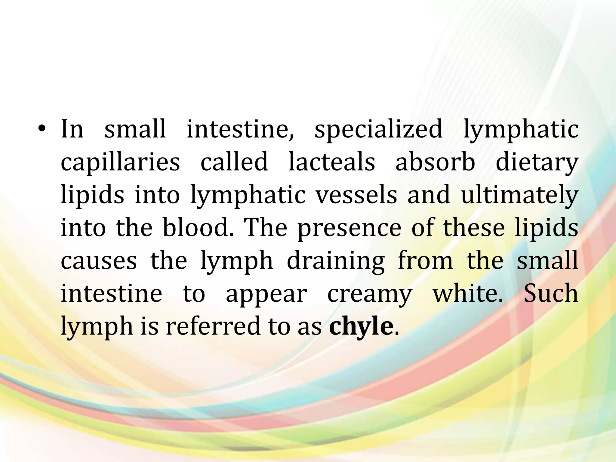 Lymphatic system | PPSX