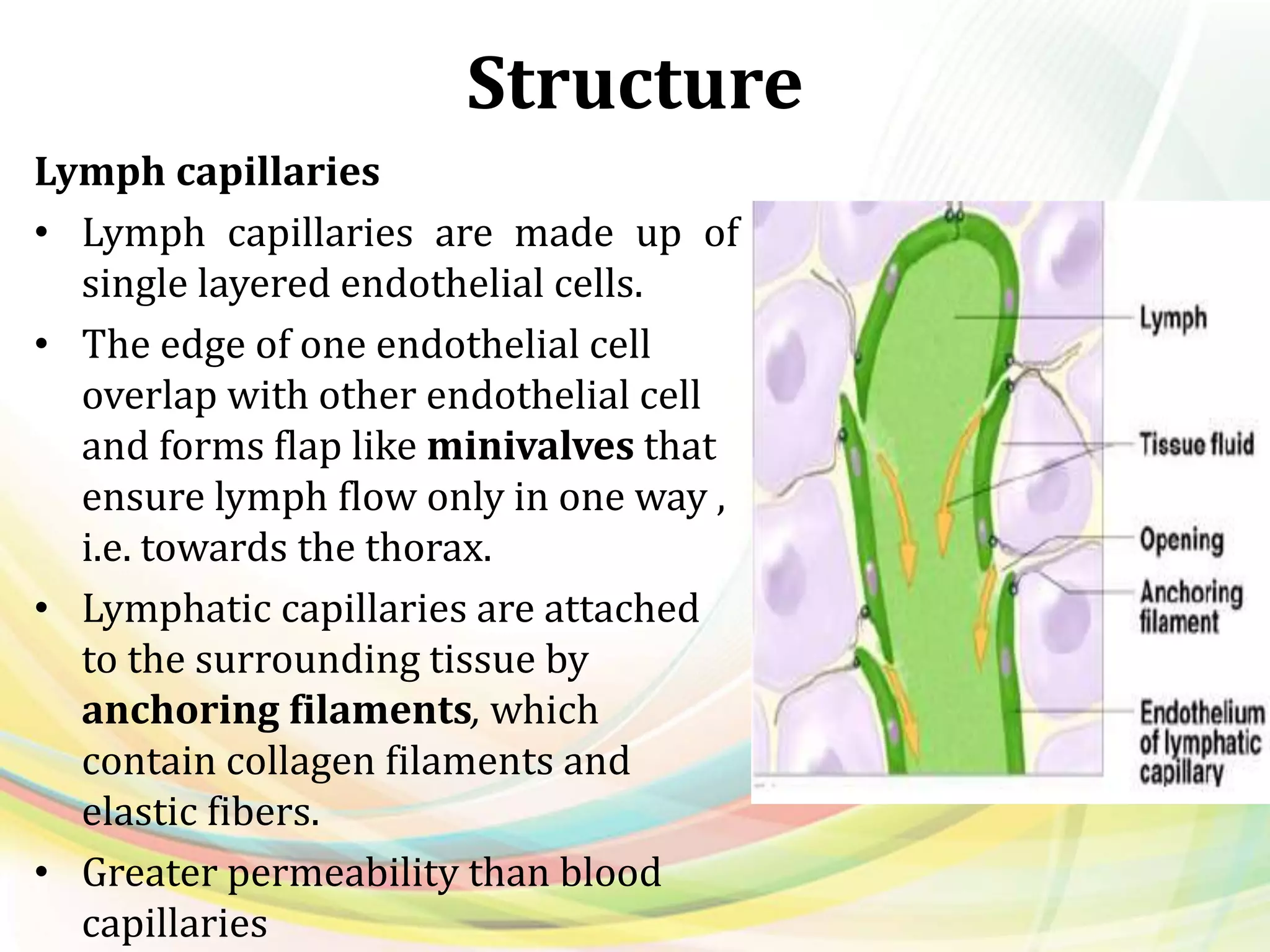 Lymphatic system | PPSX