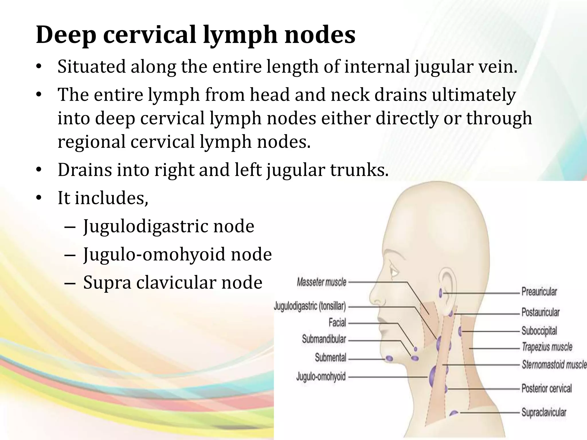 Lymphatic system | PPSX