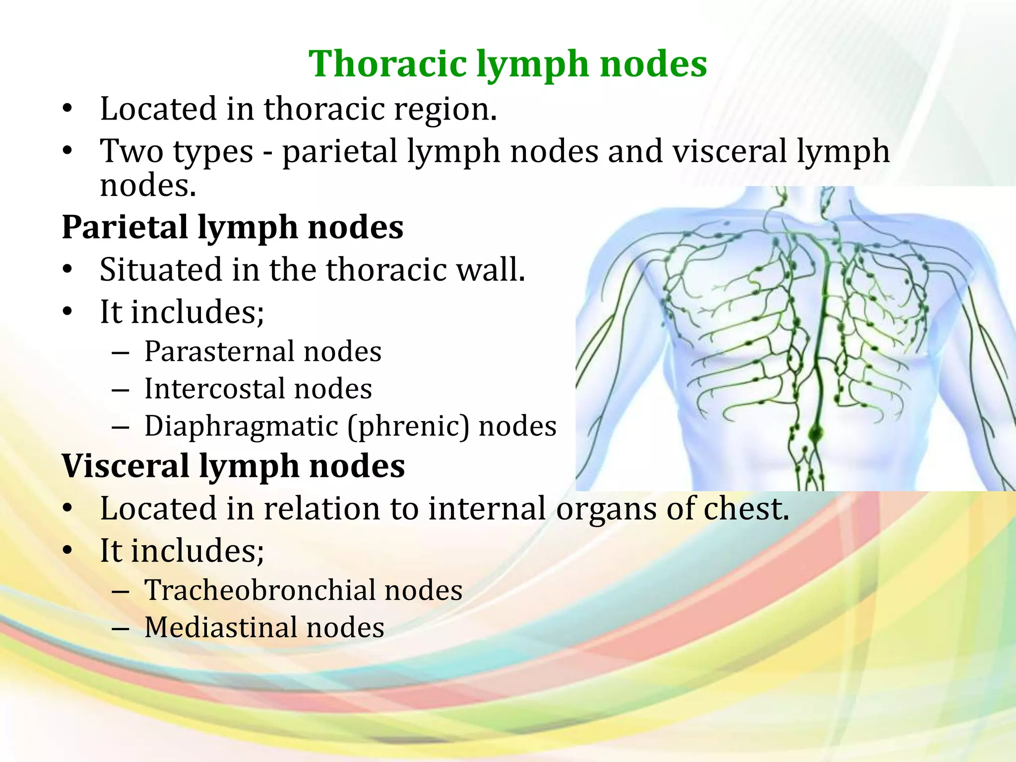 Lymphatic system | PPSX