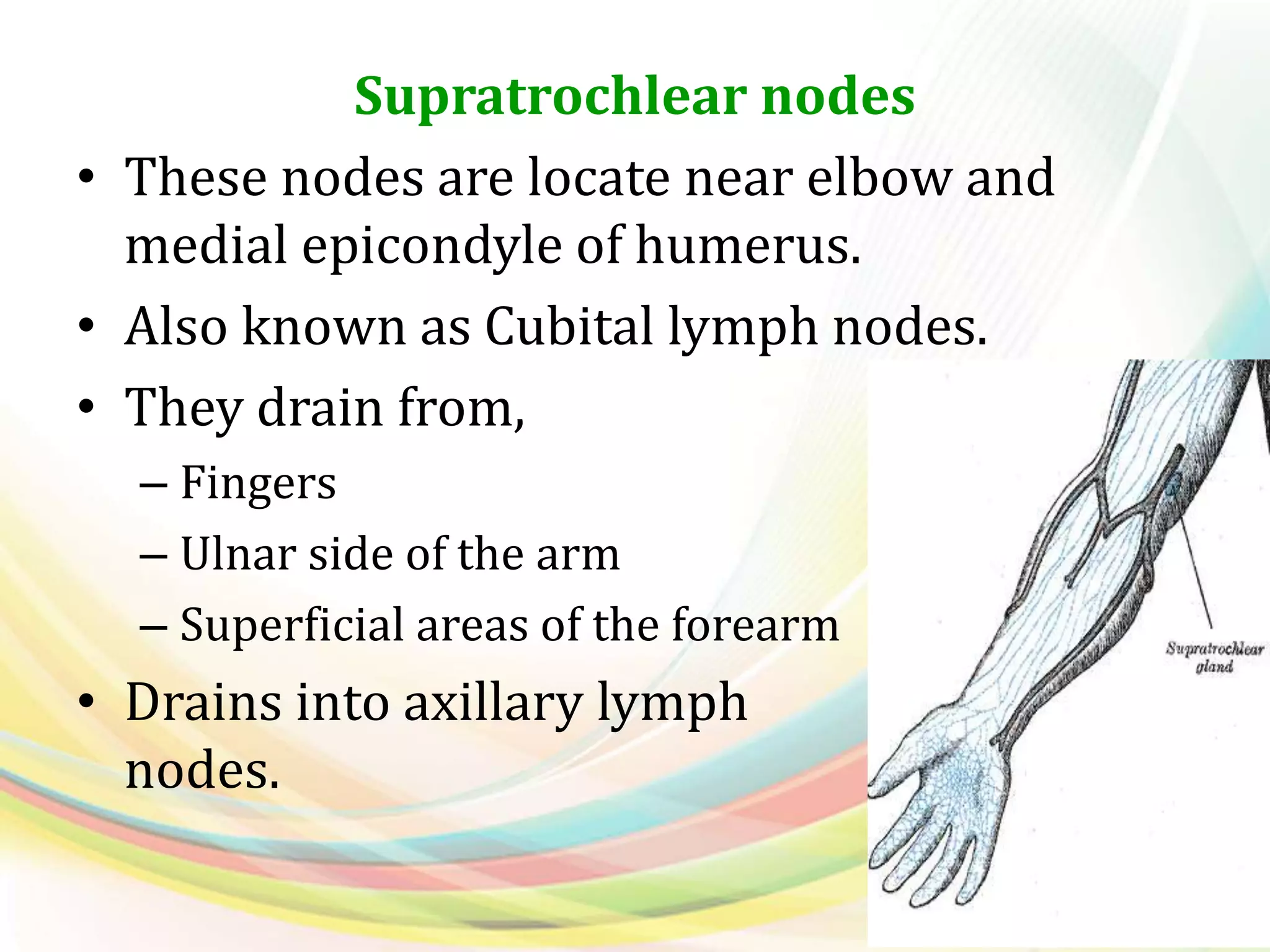 Lymphatic system | PPSX