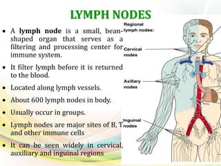 Lymphatic System Anatomy And Physiology