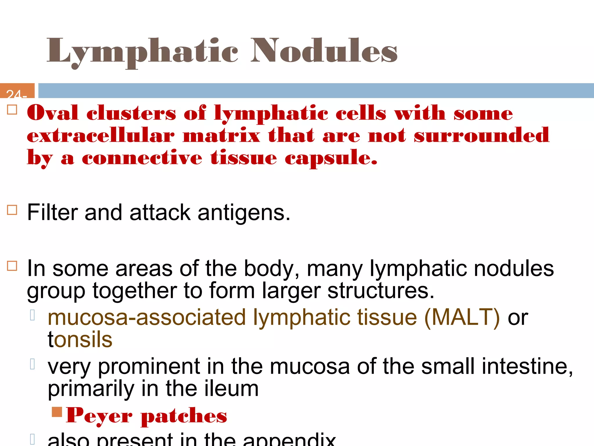 Lymphatic system (function of lymphatic systems) | PPT