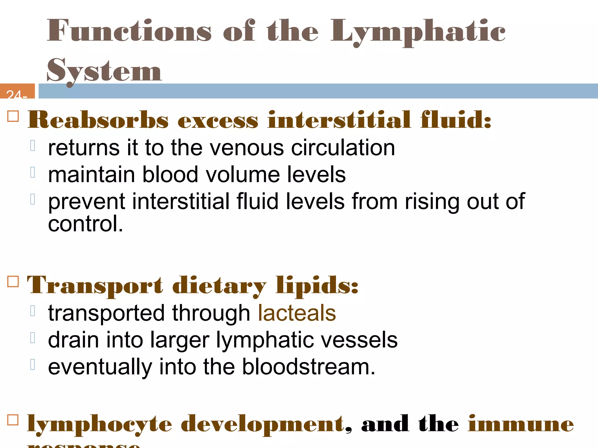 Lymphatic system (function of lymphatic systems) | PPT