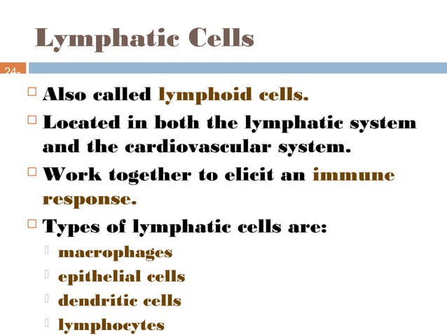 Lymphatic system (function of lymphatic systems) | PPT | Lung and Respiratory Health | Diseases ...