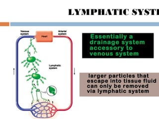 Lymphatic system (function of lymphatic systems) | PPT