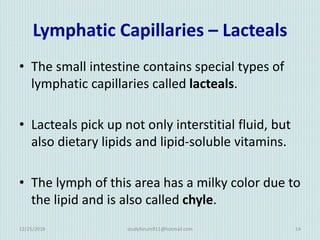 Lymphatic system, Human Lymphatic system | PPT