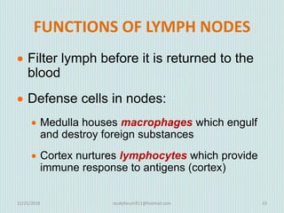Lymphatic system, Human Lymphatic system | PPT