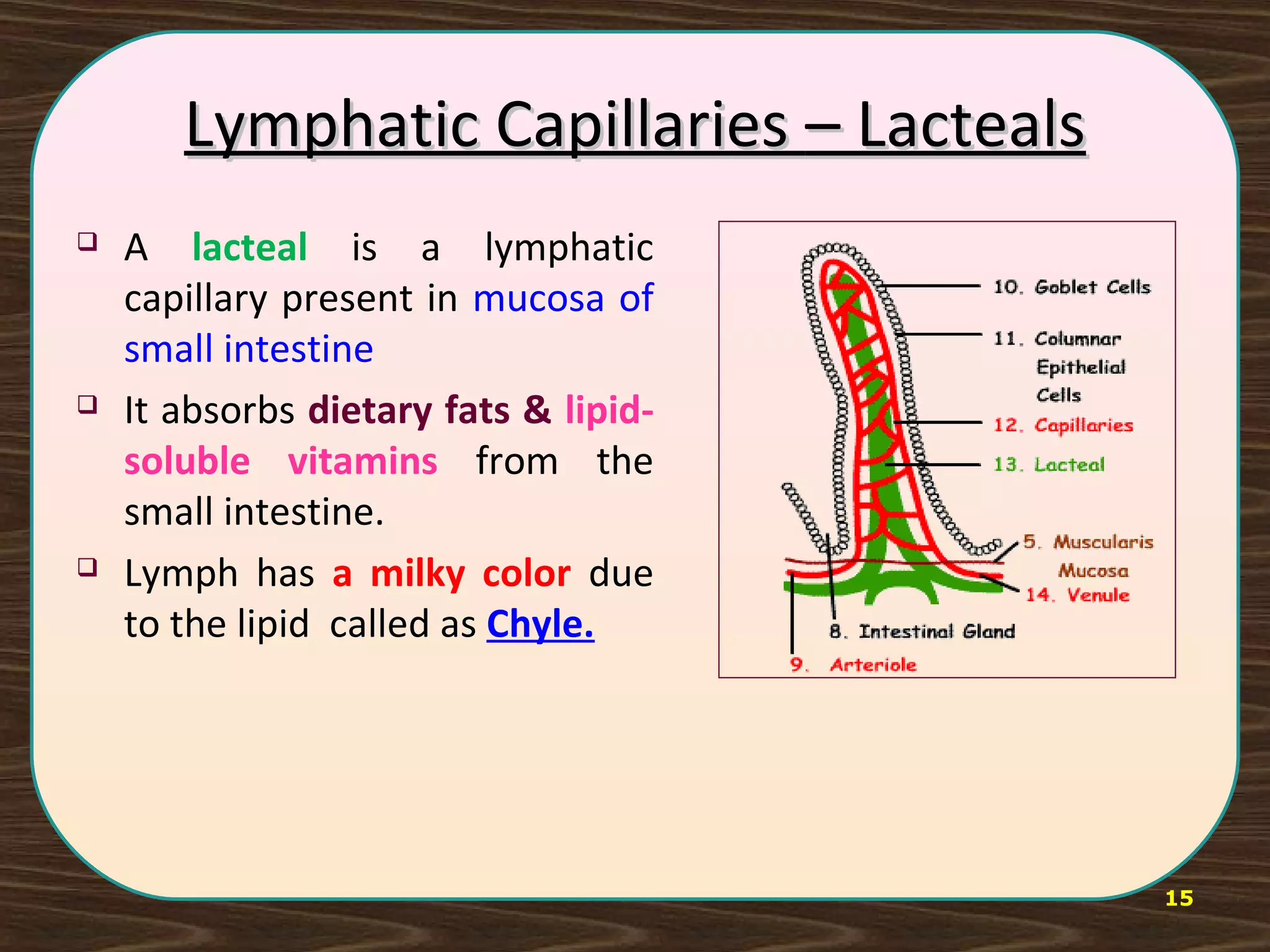Lymphatic system | PPT
