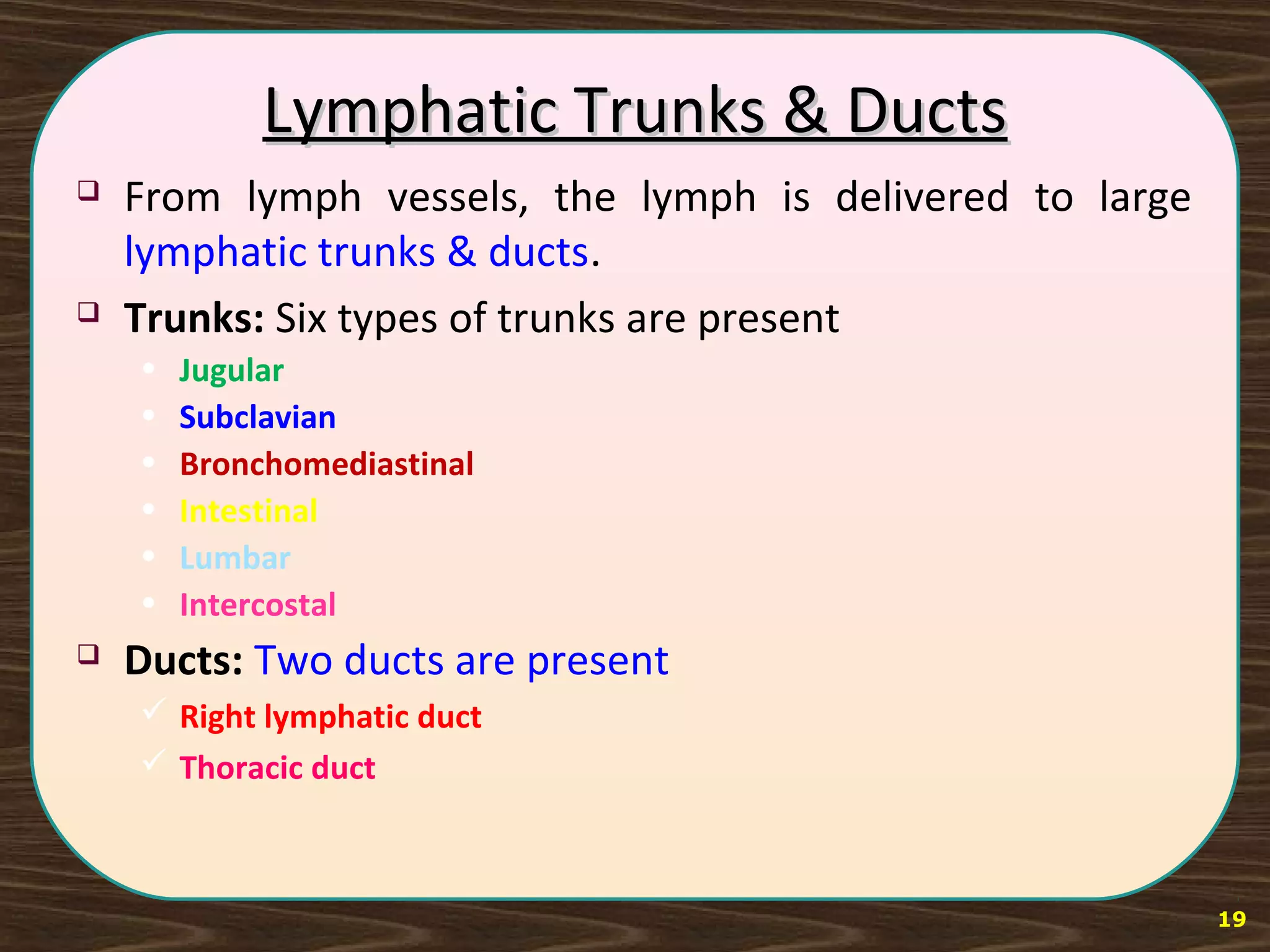 Lymphatic system | PPT
